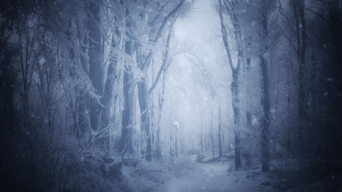 Snow 이미지, 사진 - Snow 사진 | Shutterstock