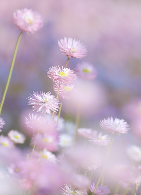 Vidéo de stock libres de droits | Shutterstock