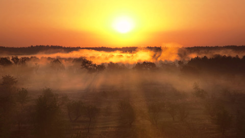 Sun Imágenes y fotos; Sun fotógrafos | Shutterstock