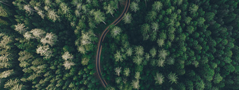 WordPress plugin | Shutterstock