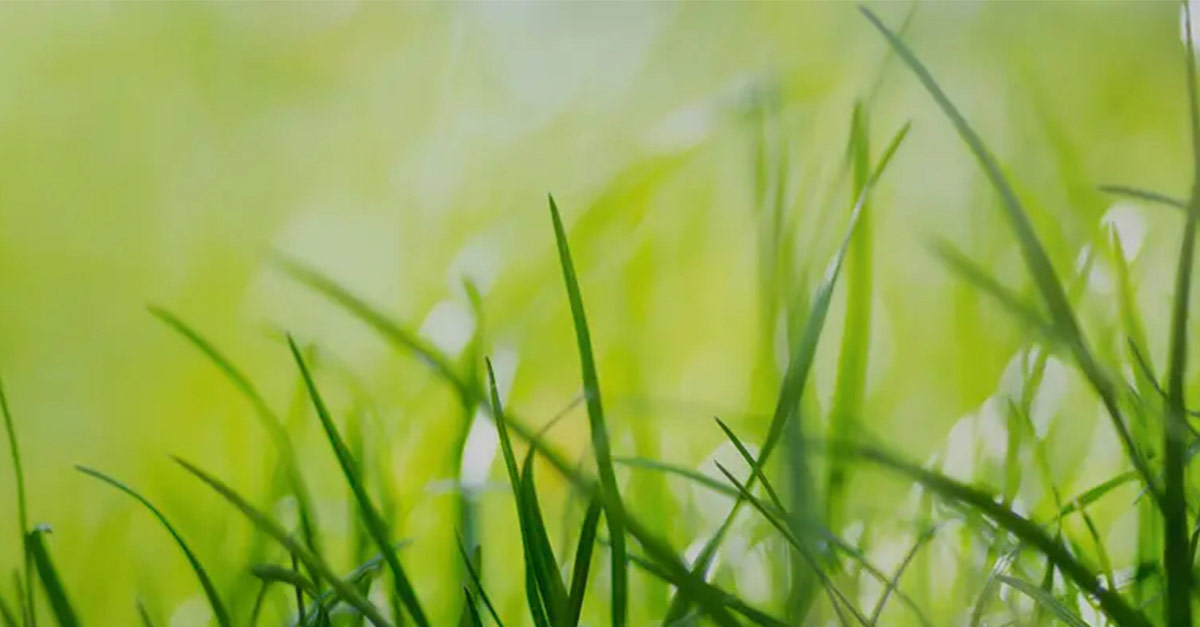 Stunning Spring Images, Pictures, Photos - Shutterstock