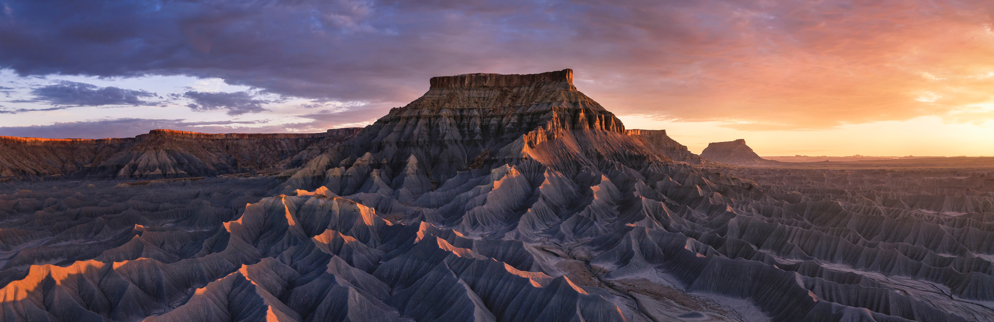 Best of Shutterstock - Curated Image and Photo Collections | Shutterstock