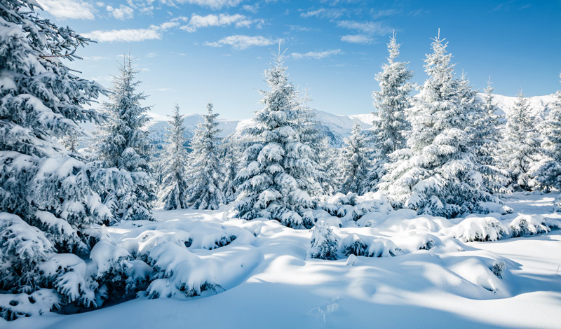 Winter Vacation Stock Photos, Royalty-Free Images and Vectors ...