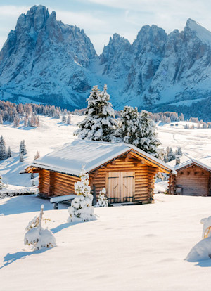 Stockbilder, fotografier, vektorer, videor och musik | Shutterstock