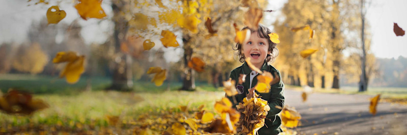 Autumn Stock Photos, Royalty-Free Images and Vectors - Shutterstock