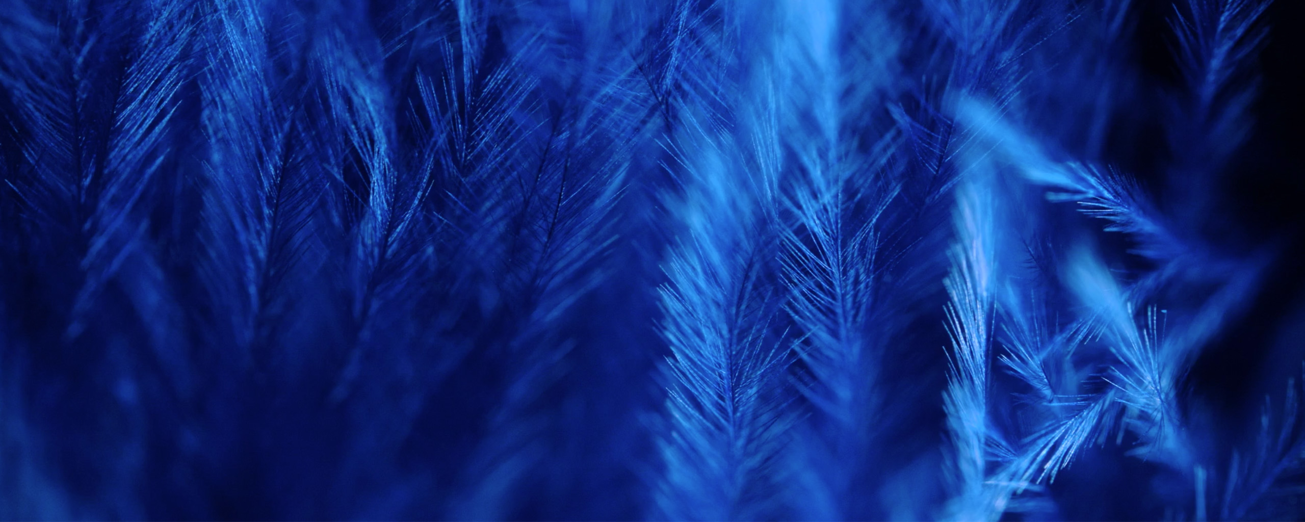 Shutterstock Integration | OpenText