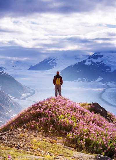 Stock Images, Photos, Vectors, Video, and Music | Shutterstock