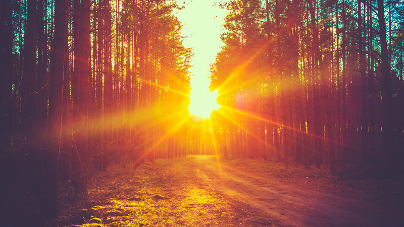 Sun Images, Pictures, Photos - Sun Photographs | Shutterstock