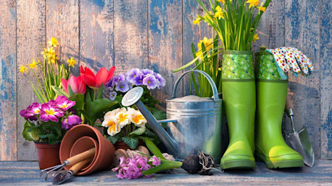 Stunning Spring Images, Pictures, Photos - Shutterstock