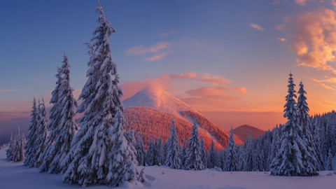 Snow 이미지, 사진 - Snow 사진 | Shutterstock