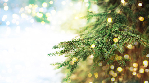 Christmas Imágenes y fotos; Christmas fotógrafos | Shutterstock