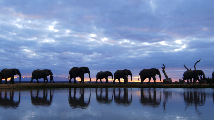 Royalty Free Image Collections and Categories | Shutterstock