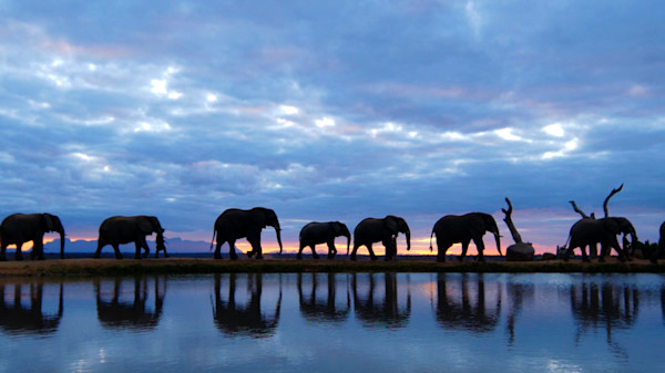 Royalty Free Stock Images For Creative Projects | Shutterstock