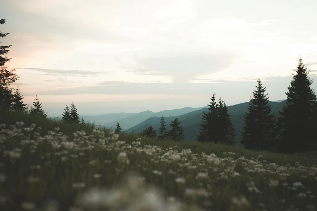 What Happens When a Parent Dies Without a Will | Trust & Will