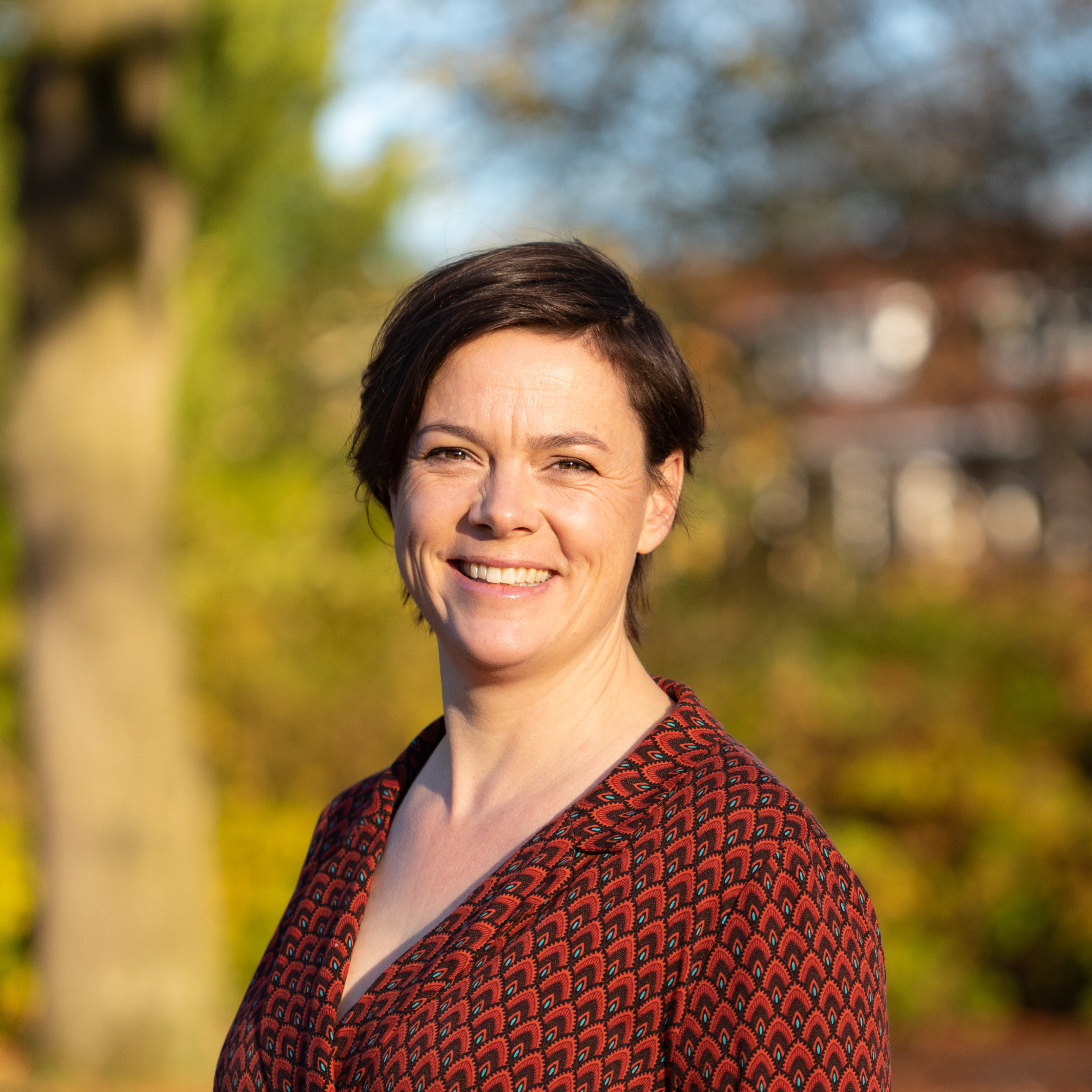 Damiët van Stek