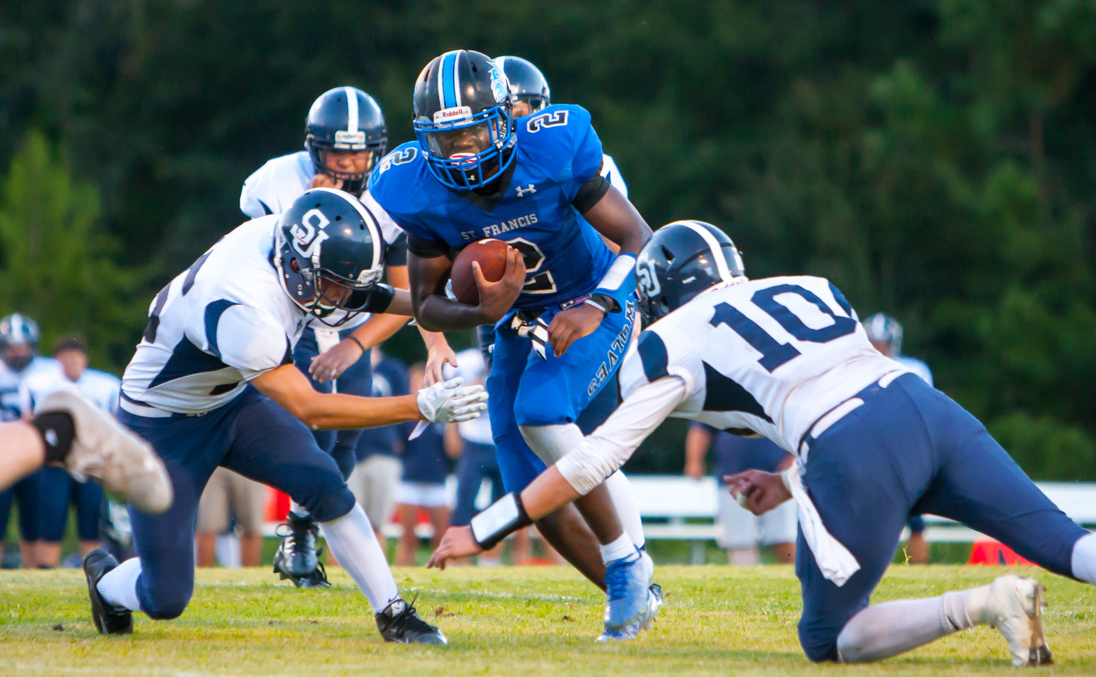 SFCA Wolves | Highlights & Signings