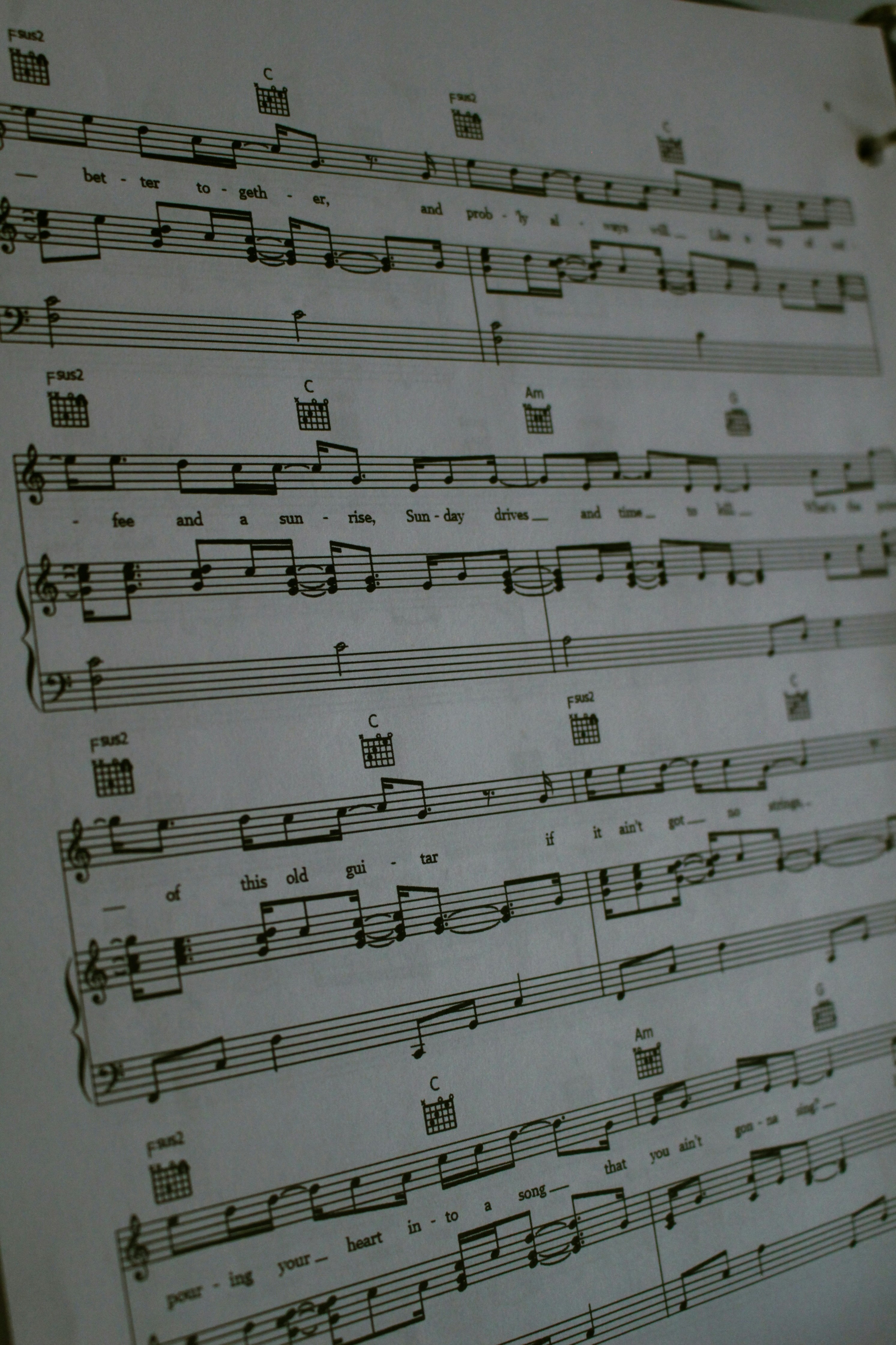 SFCA Wolves | Student Organizations