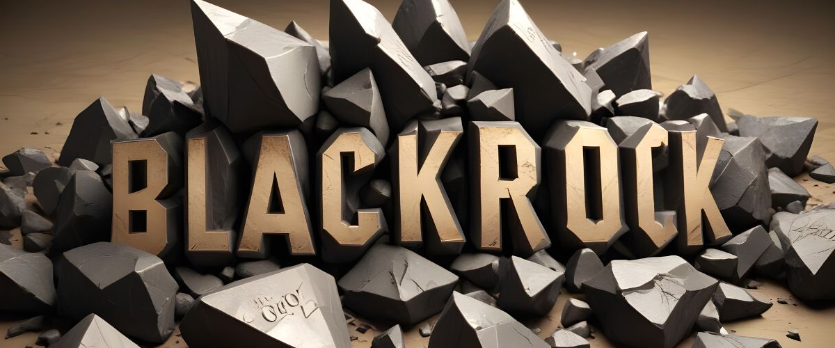 Hva er BlackRock? | Skilling