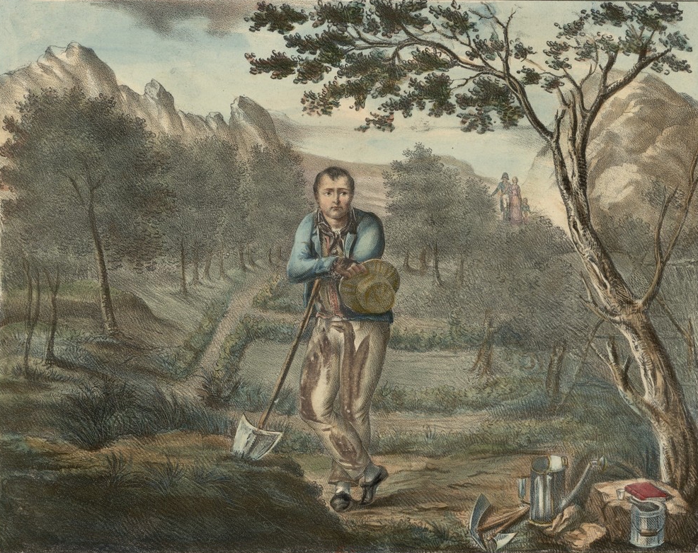 Napoleon and botany | Europeana