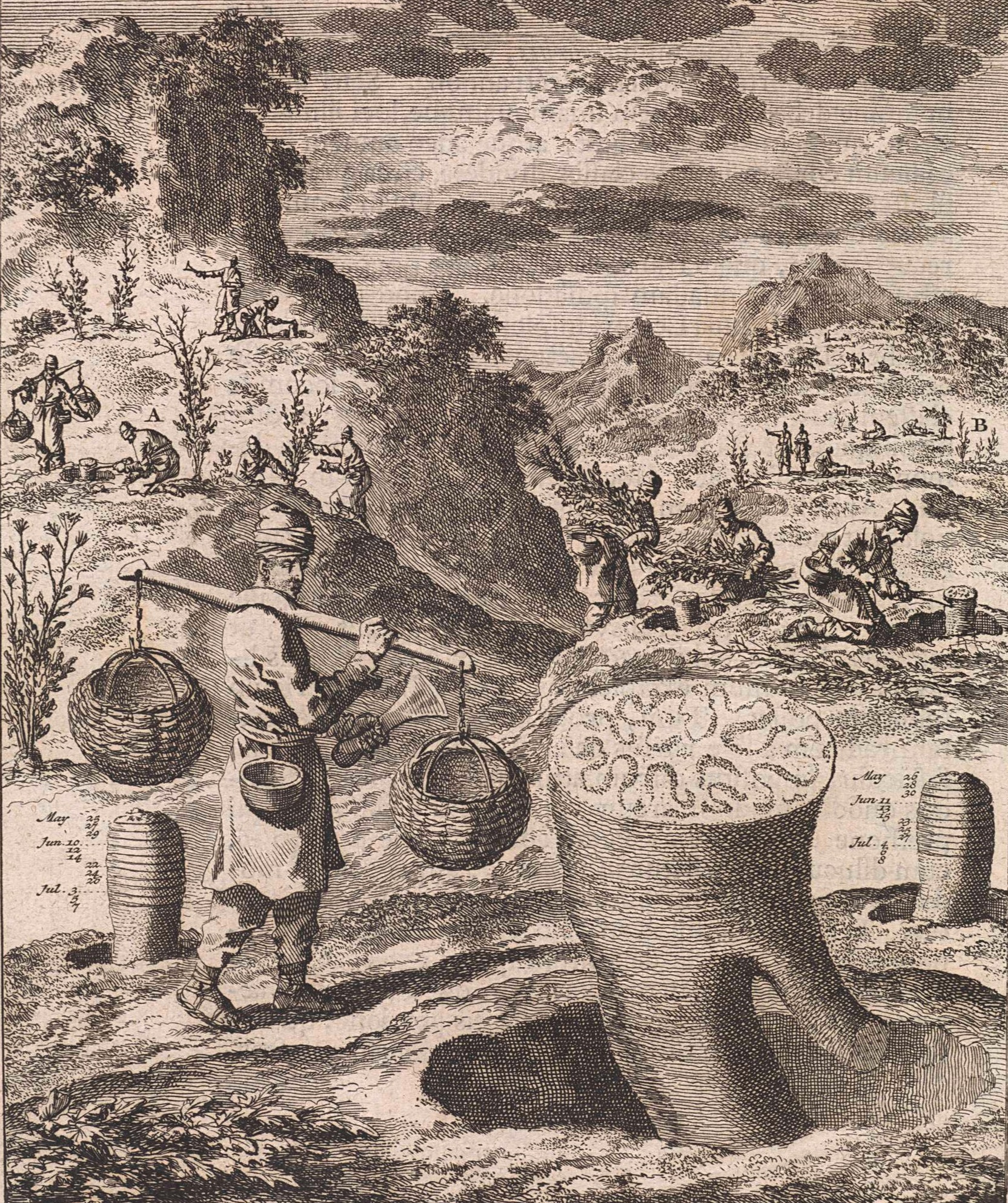 Contraception in Ancient History | Europeana