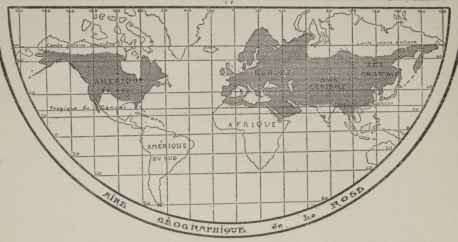 Splitters versus lumpers