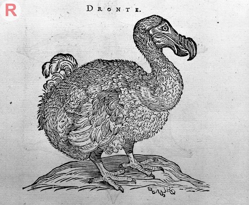 Five fascinating extinct creatures | Europeana