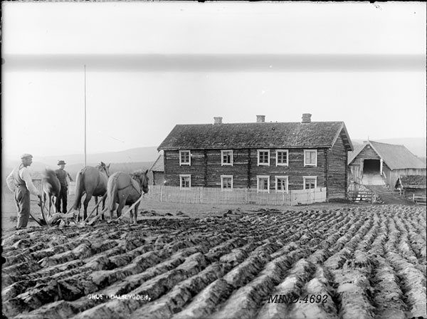 19th Century Farming 10,972 No Till Farming Stock Photos, High Res