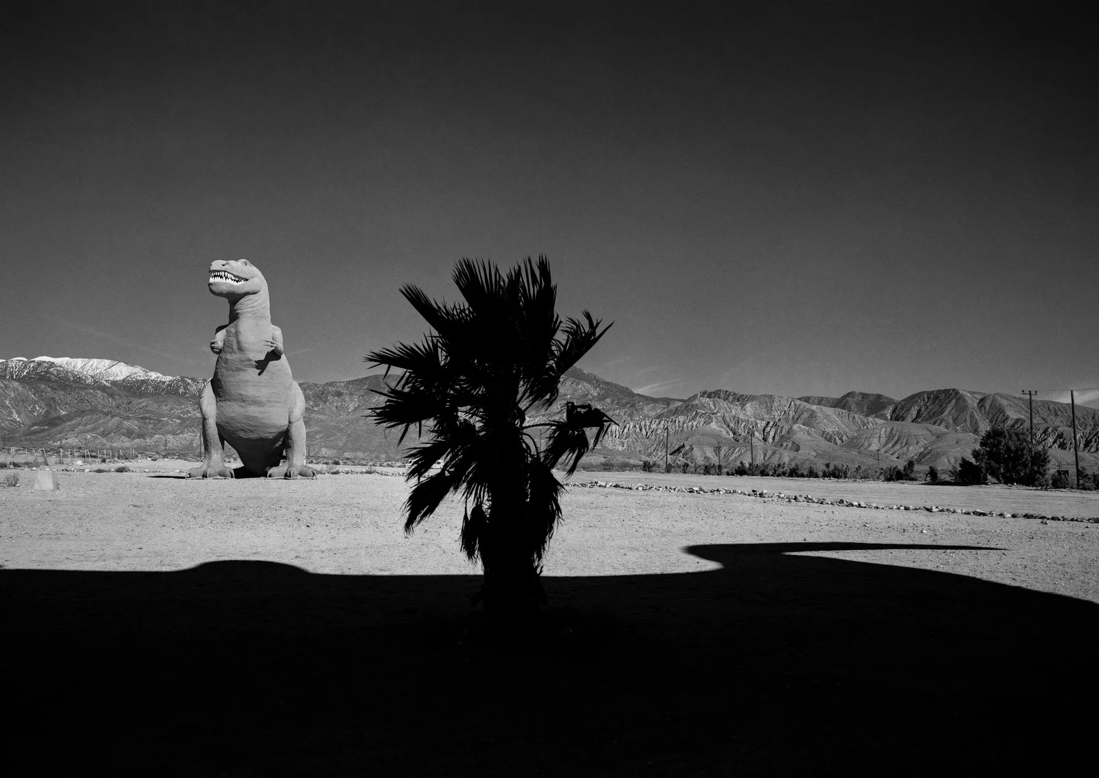 Dinosaurios en la ciencia y la cultura pop | Europeana
