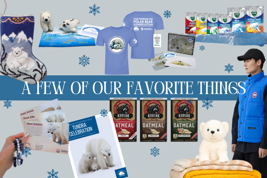 Polar Bear Conservation