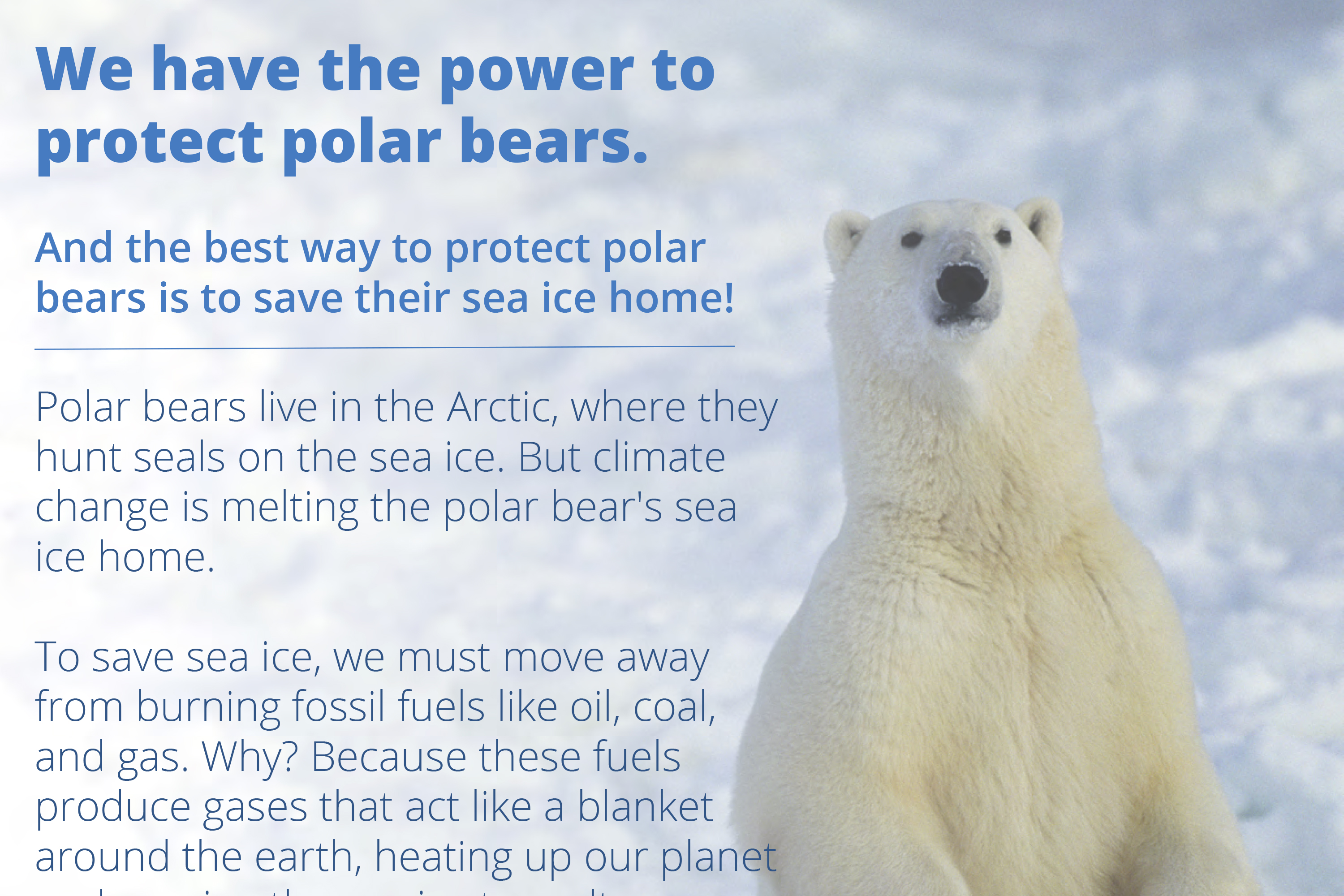 Polar Bear Week AAC Toolkit | Polar Bears International