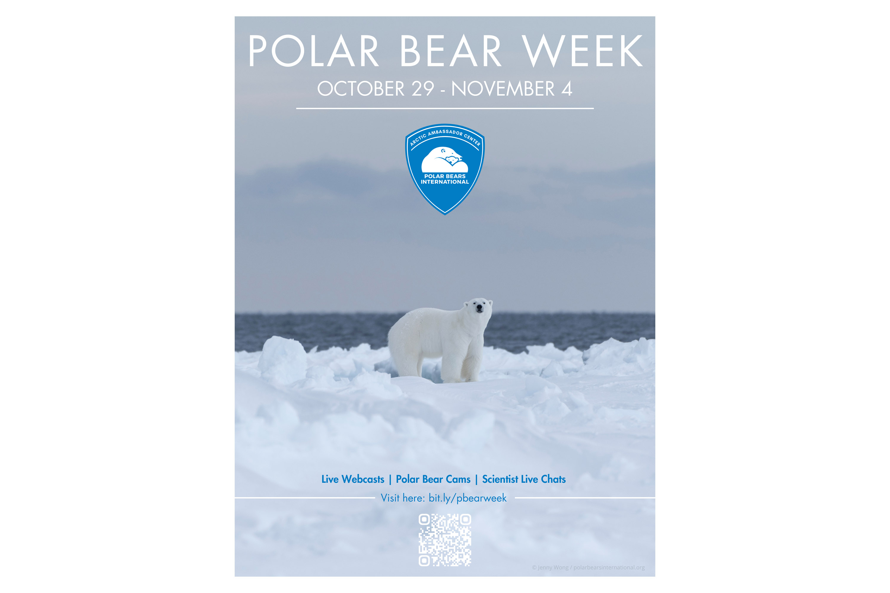Polar Bear Week AAC Toolkit | Polar Bears International