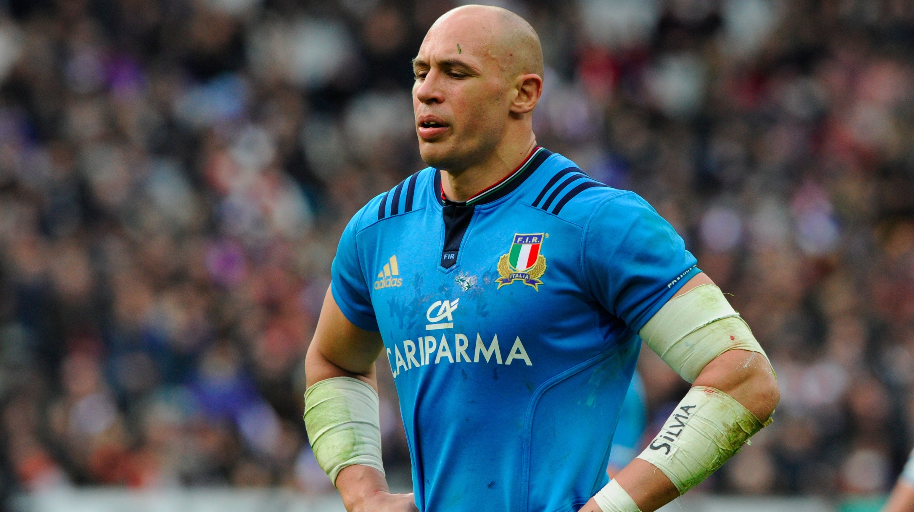 Parisse confident of good result against Scotland | The home of Rugby ...