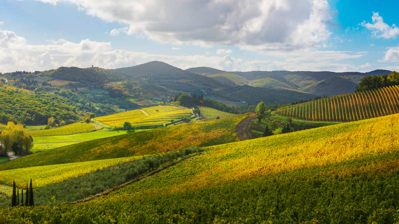 7 Spectacular Reasons To Visit Florence | Plum Guide