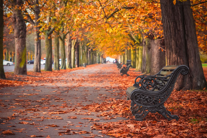 Where to Travel in November: Top Destinations | Plum Guide