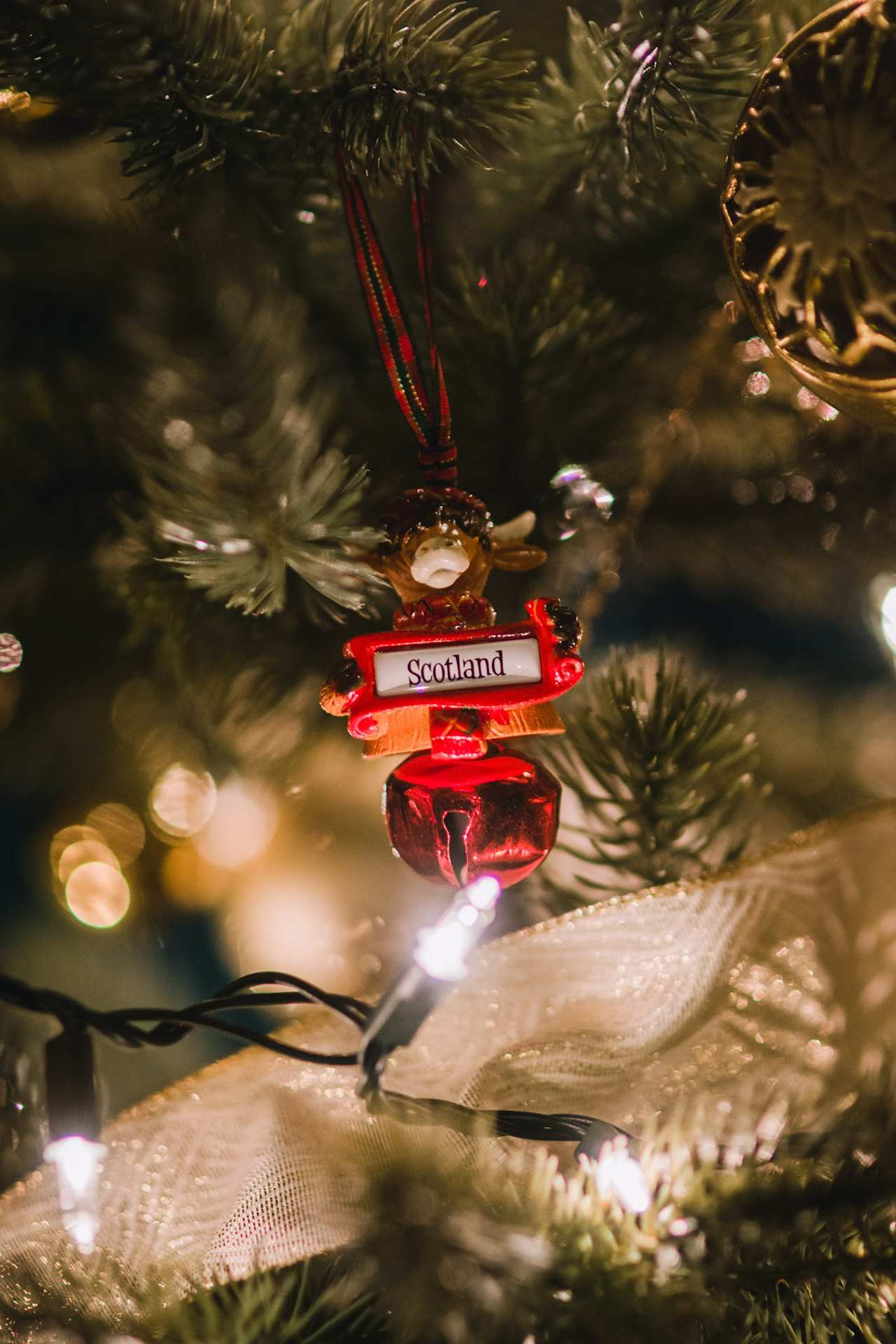 Where to Spend Christmas Holidays in Scotland | Plum Guide