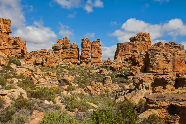 Our 8 Favourite Day Trips in Cape Town | Plum Guide