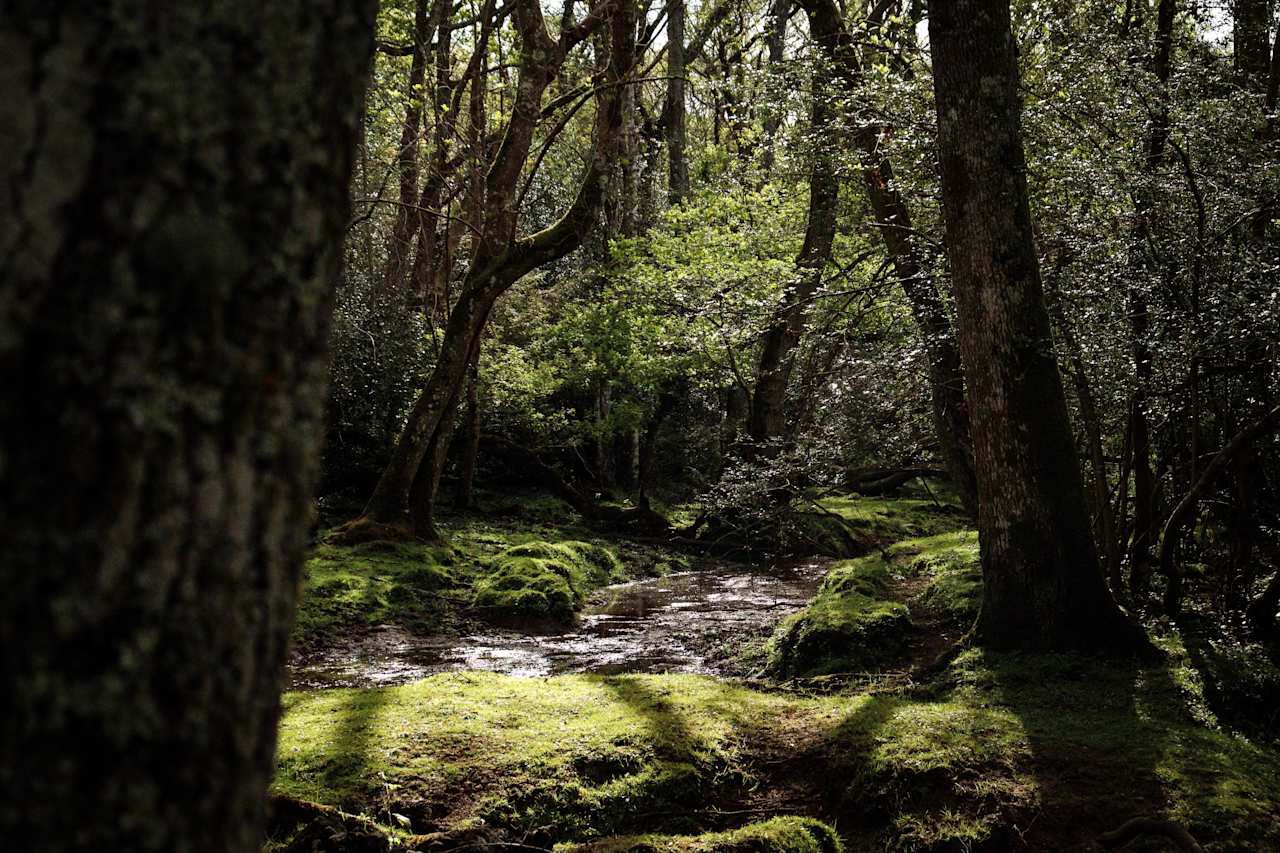 Places to Visit in Hampshire | Plum Guide