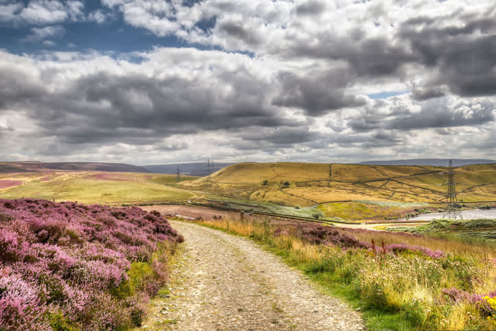 Countryside Charm: Where to Stay in Yorkshire | Plum Guide