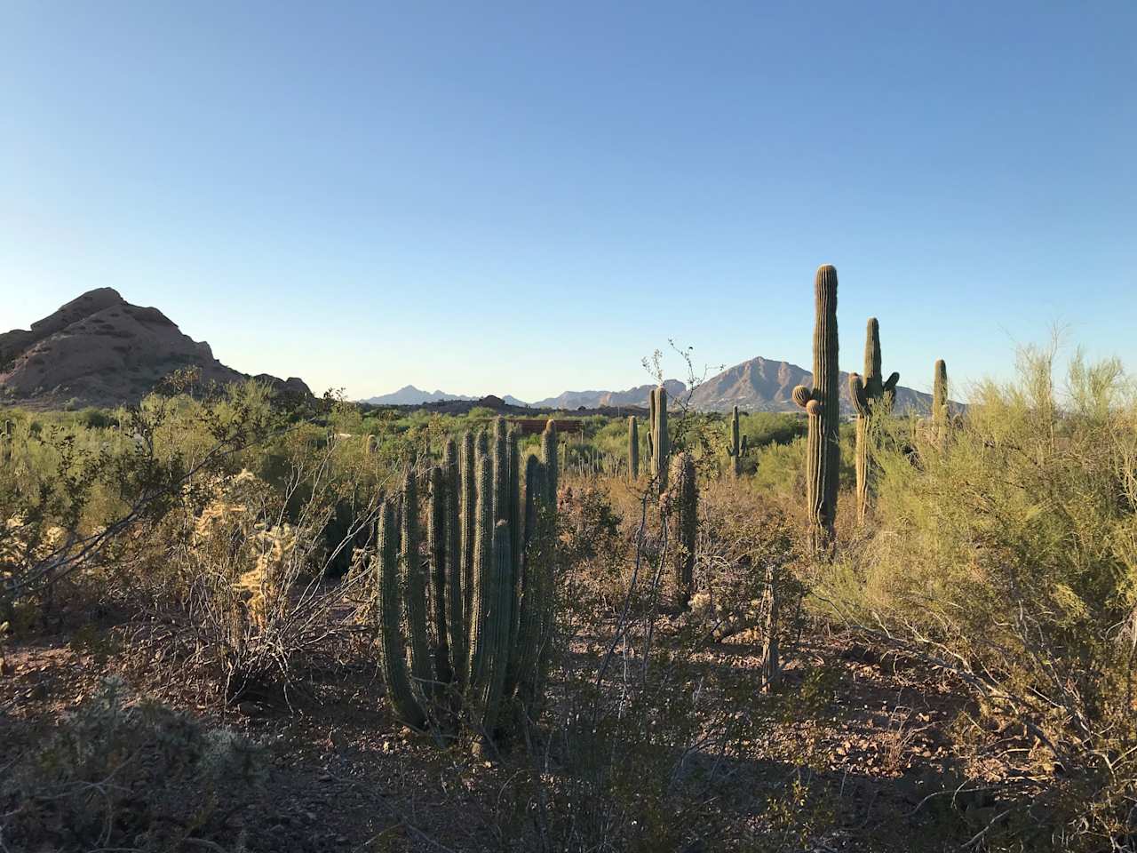 A Guide to Spring Break in Arizona | Plum Guide