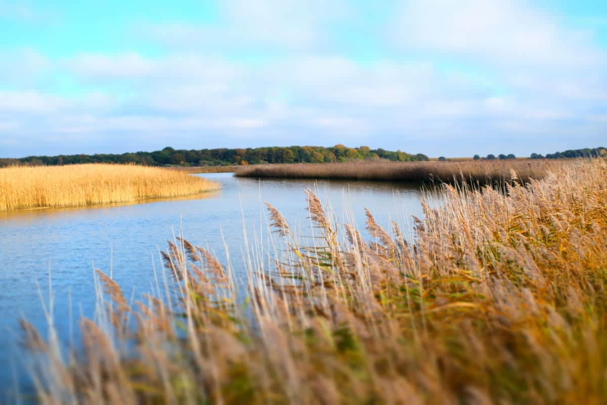 Busy Areas To Avoid in Suffolk & Other Tips | Plum Guide