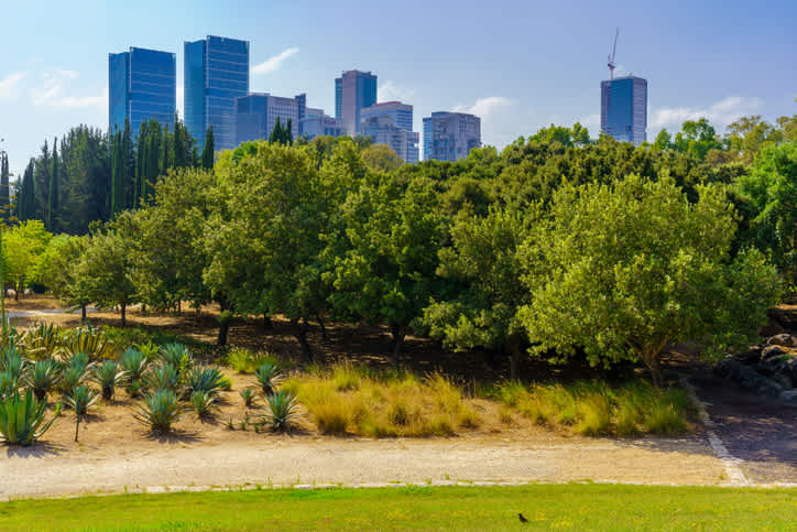 The Best Tel Aviv Travel Guide | Plum Guide
