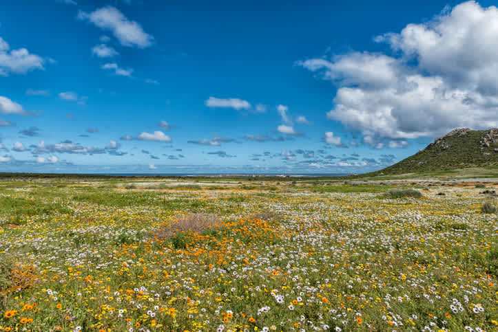 Our 8 Favourite Day Trips in Cape Town | Plum Guide