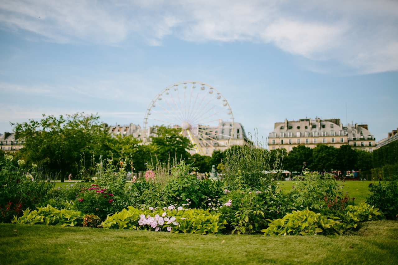 Everything you need to know about Paris | Plum Guide