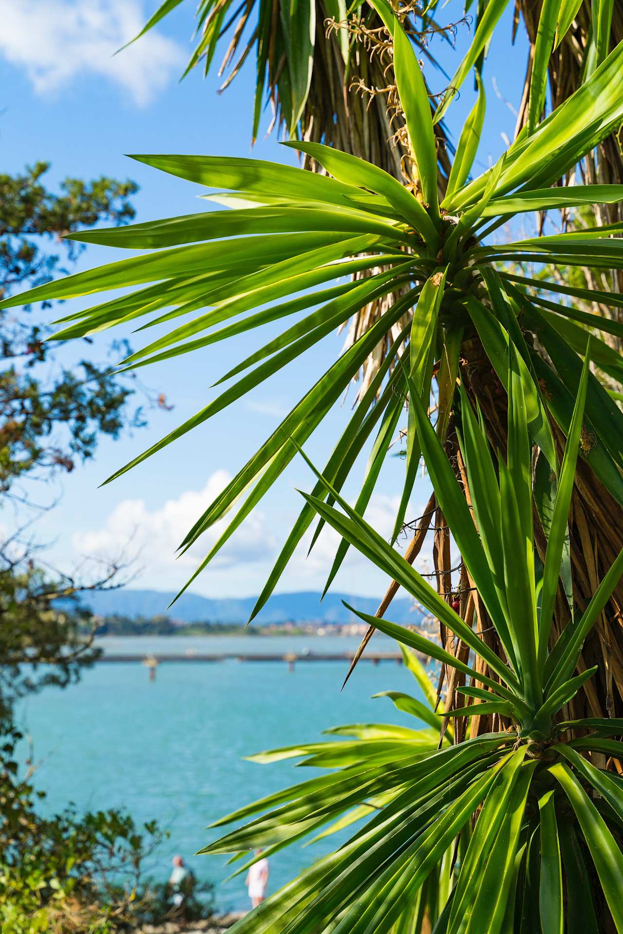 The Best Things to Do in Corfu | Plum Guide