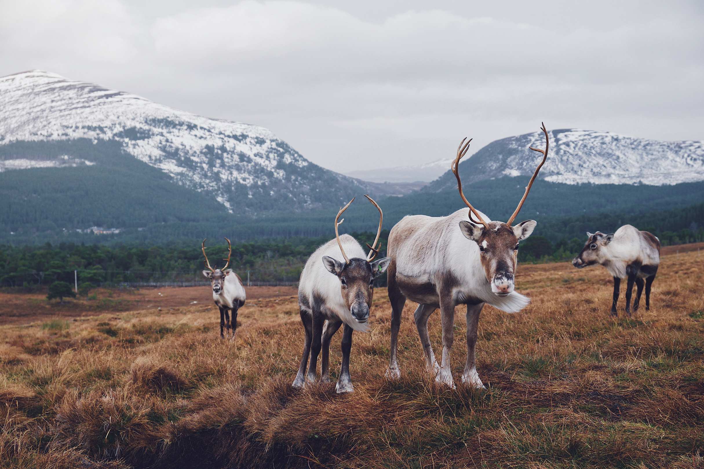 Spectacular Hill Walks in Scotland | Plum Guide