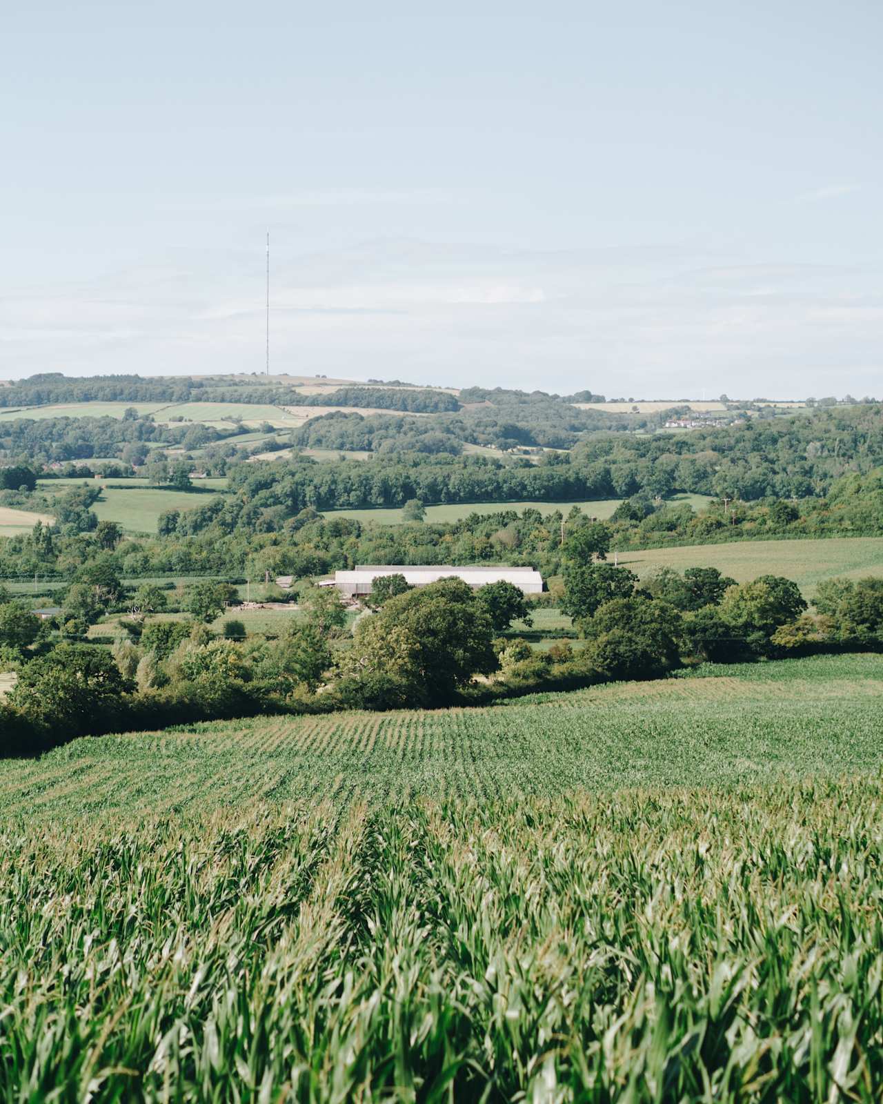 Autumn Breaks in the UK | Plum Guide