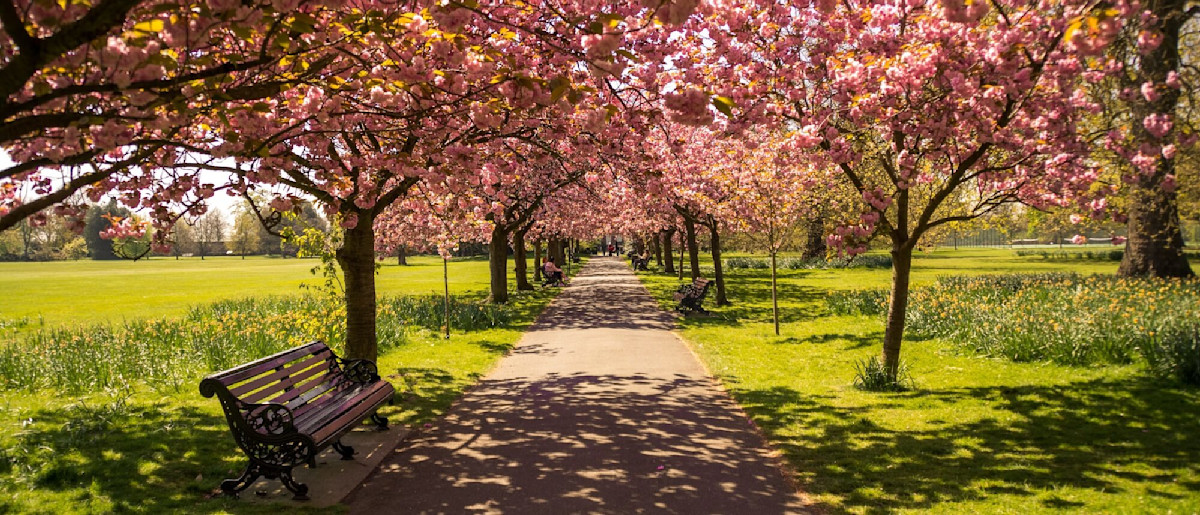 a-marvellous-guide-to-paris-in-may-plum-guide