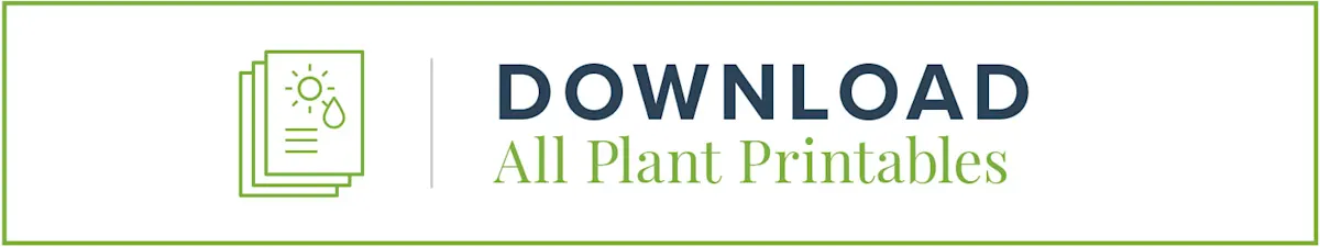 Houseplant Care Printables for Any Plant Lover - ProFlowers Blog