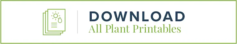 Houseplant Care Printables for Any Plant Lover | Proflowers Blog