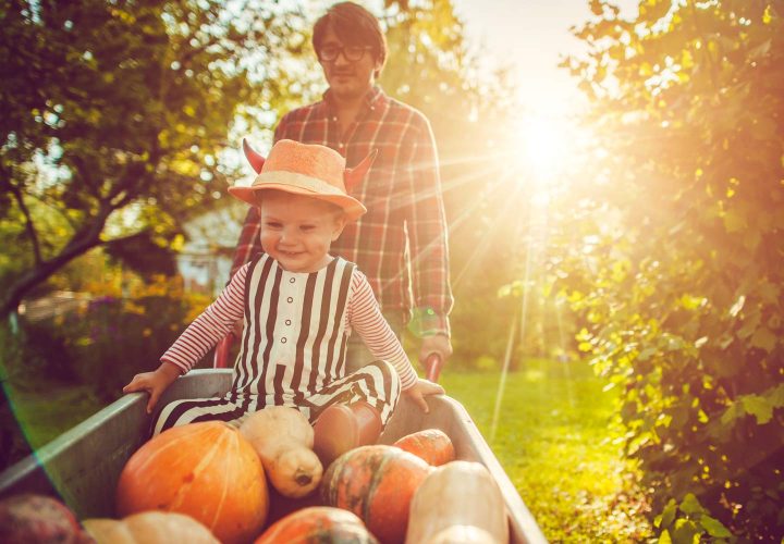 50+ Fall Quotes to Ring in the Changing of the Season - FTD.com